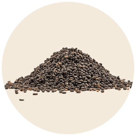 ILLUMINATE - Glow Serum – 9skin India